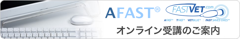 AFAST® [腹部迅速超音波検査法] – 壱岐動物病院